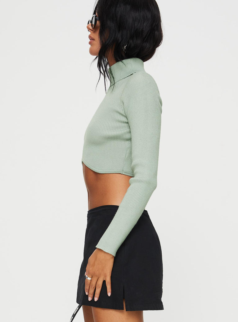 Caplick Long Sleeve Top Green | Princess Polly USA