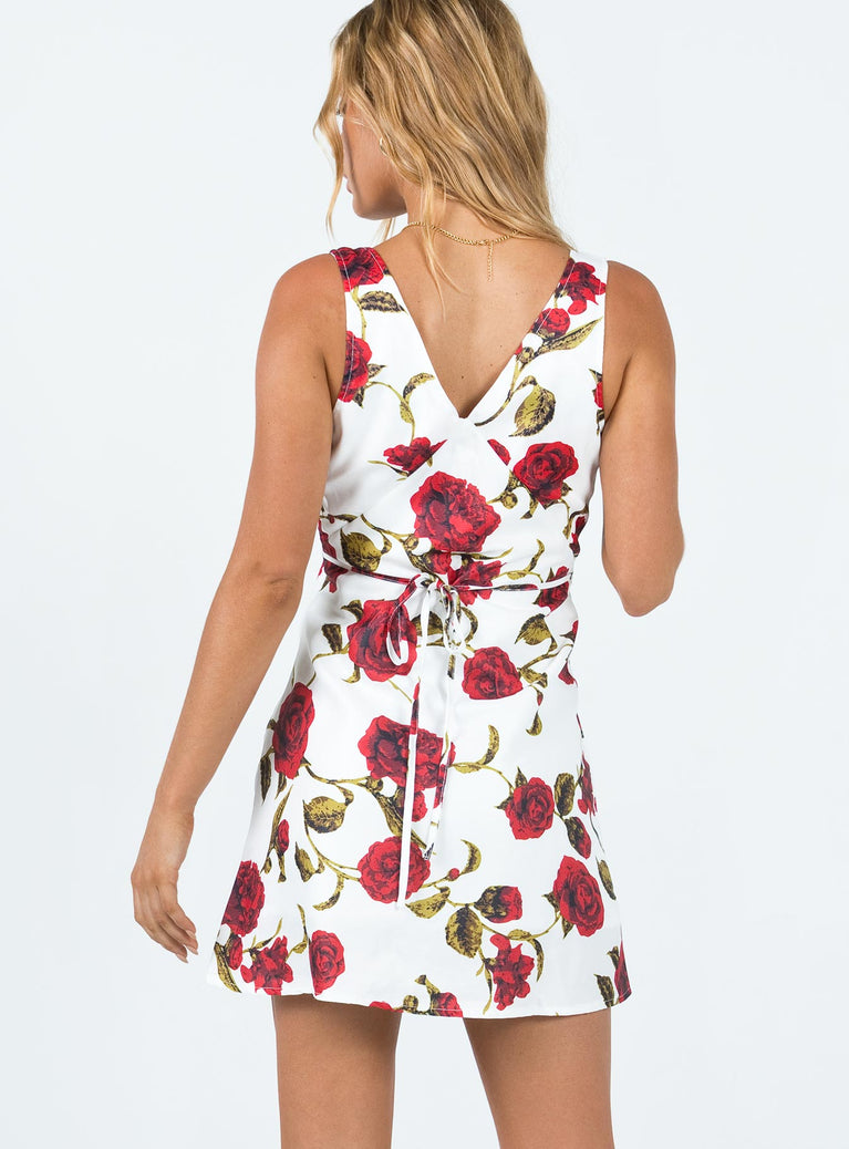 Nellie Mini Dress White / Red Floral | Princess Polly USA